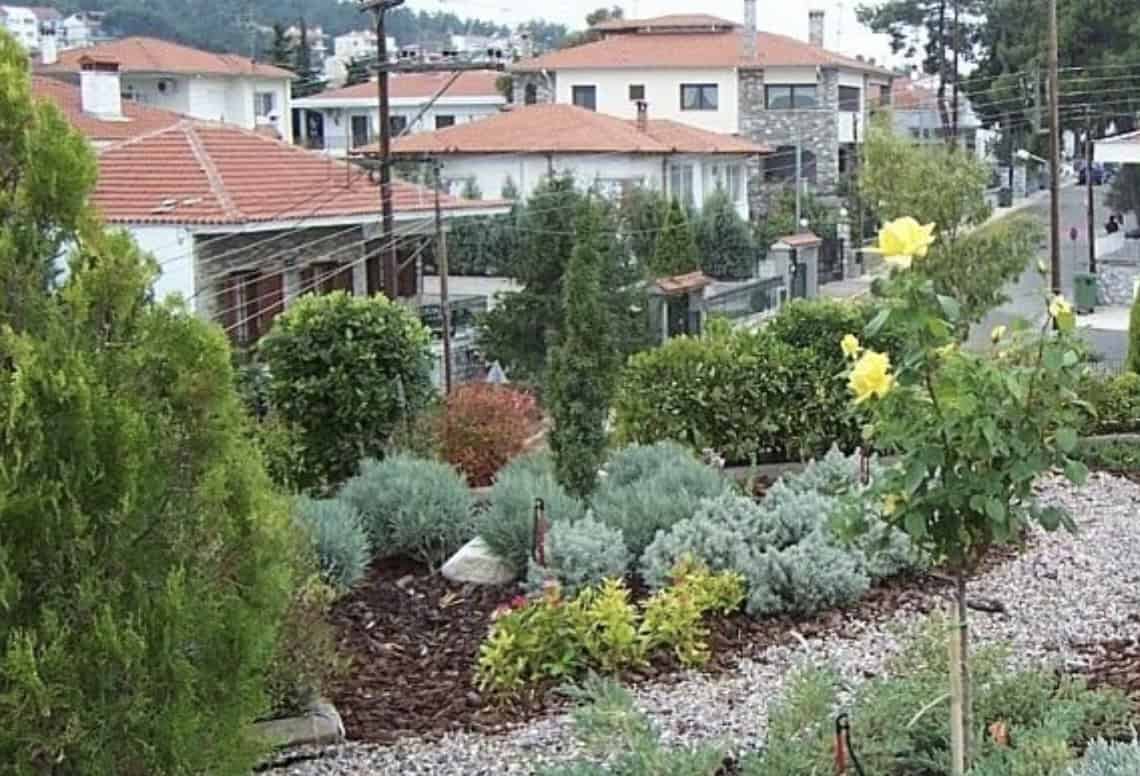 Βαμβακάδα. Τι είναι και πως αντιμετωπίζεται - Βασιλειάδης Garden Center ...